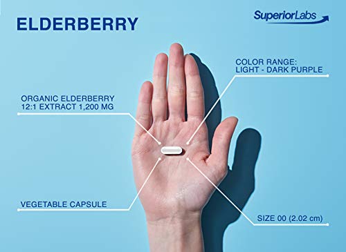 Superior Labs elderberry for cold relief