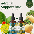 support adrenal function effectively