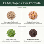 support adrenal health naturally