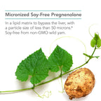 support adrenal health with pregnenolone