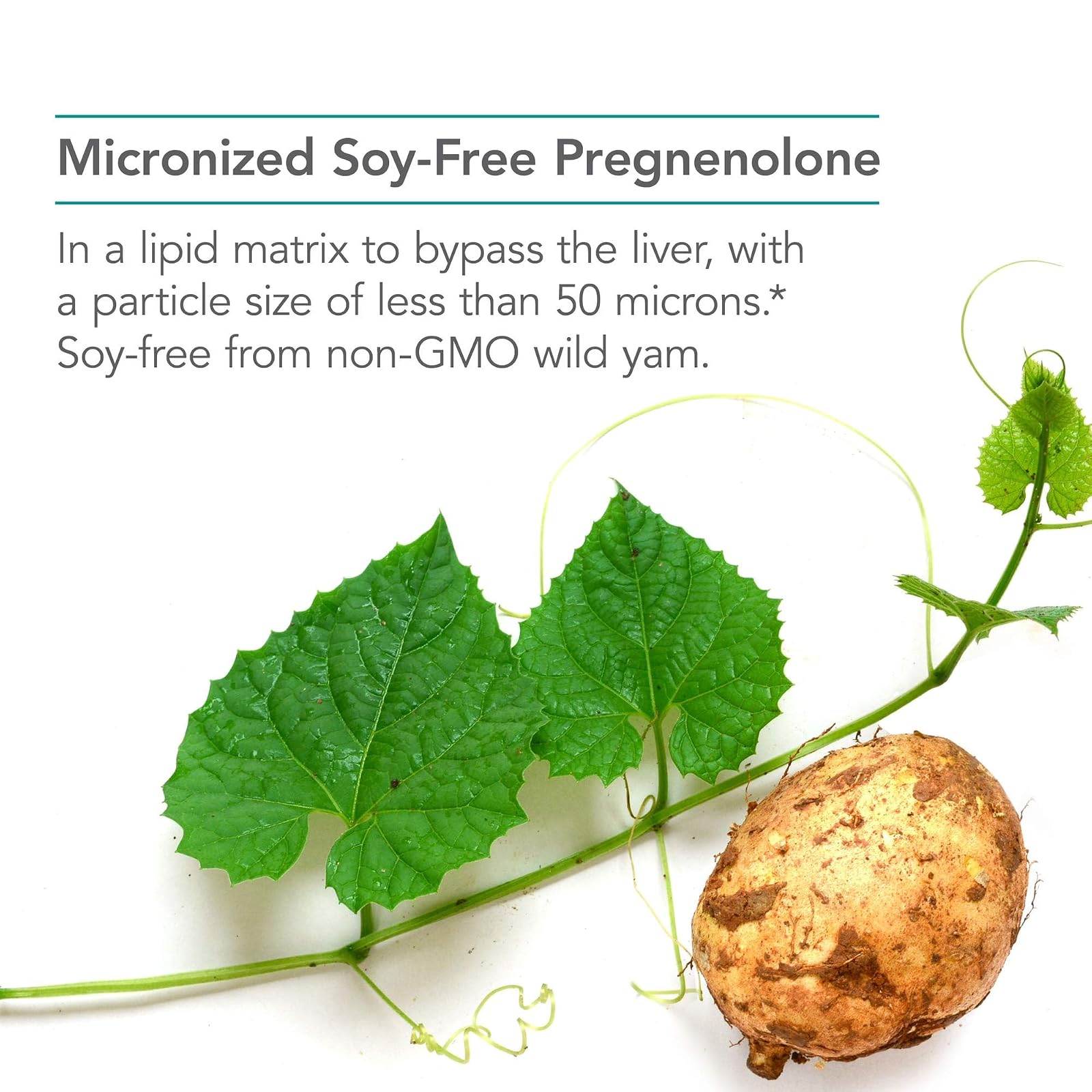 support adrenal health with pregnenolone