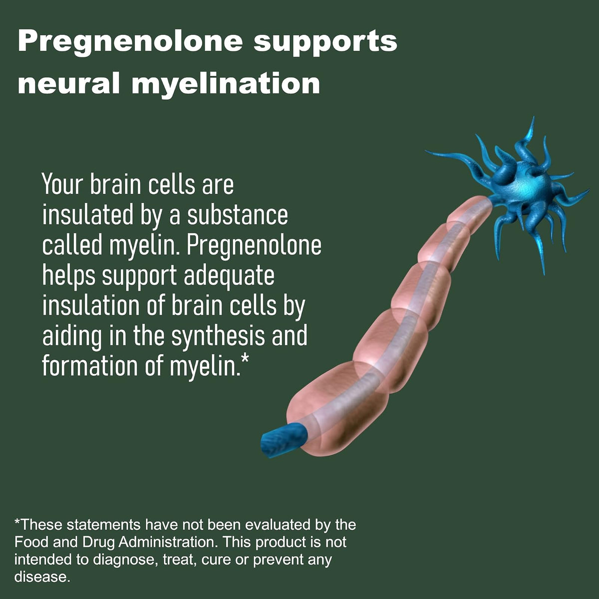 support adrenal health with Pregnenolone