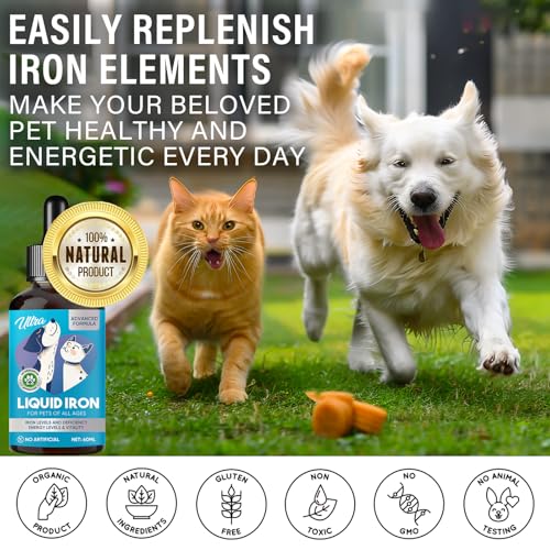 support blood health in cats