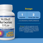 support blood sugar levels with berberine