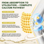 support bone health naturally
