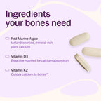 support bone health with calcium