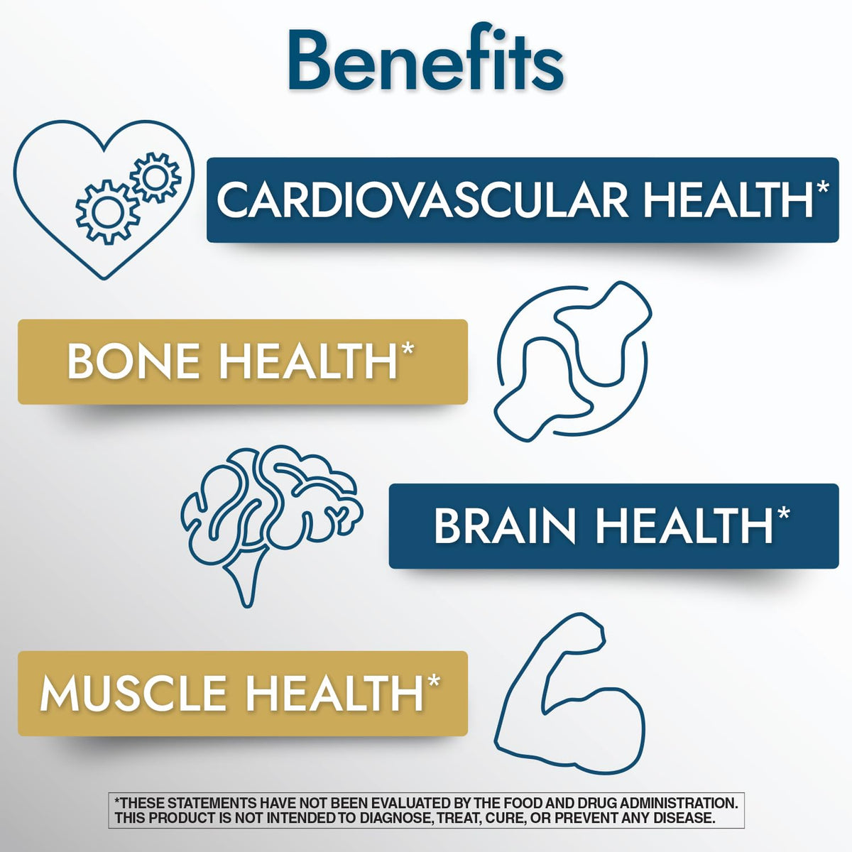 support bone health with K2