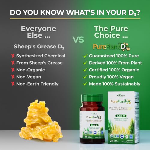 support bone health with vitamin D