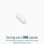 support brain and gut health