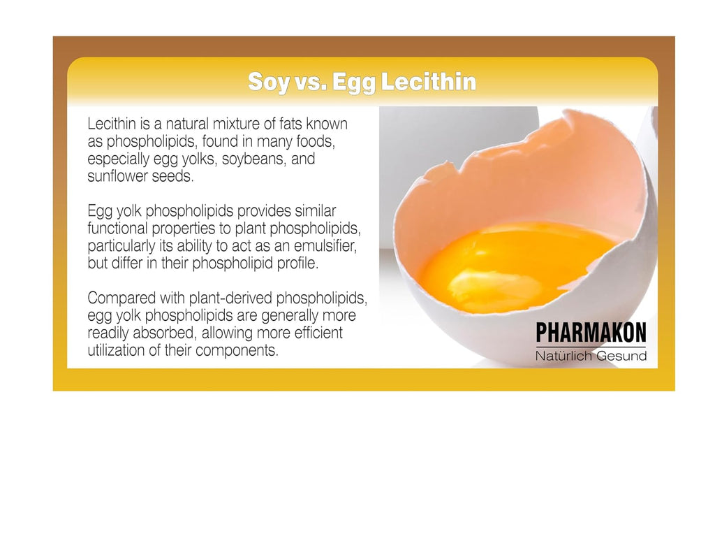support brain function with lecithin