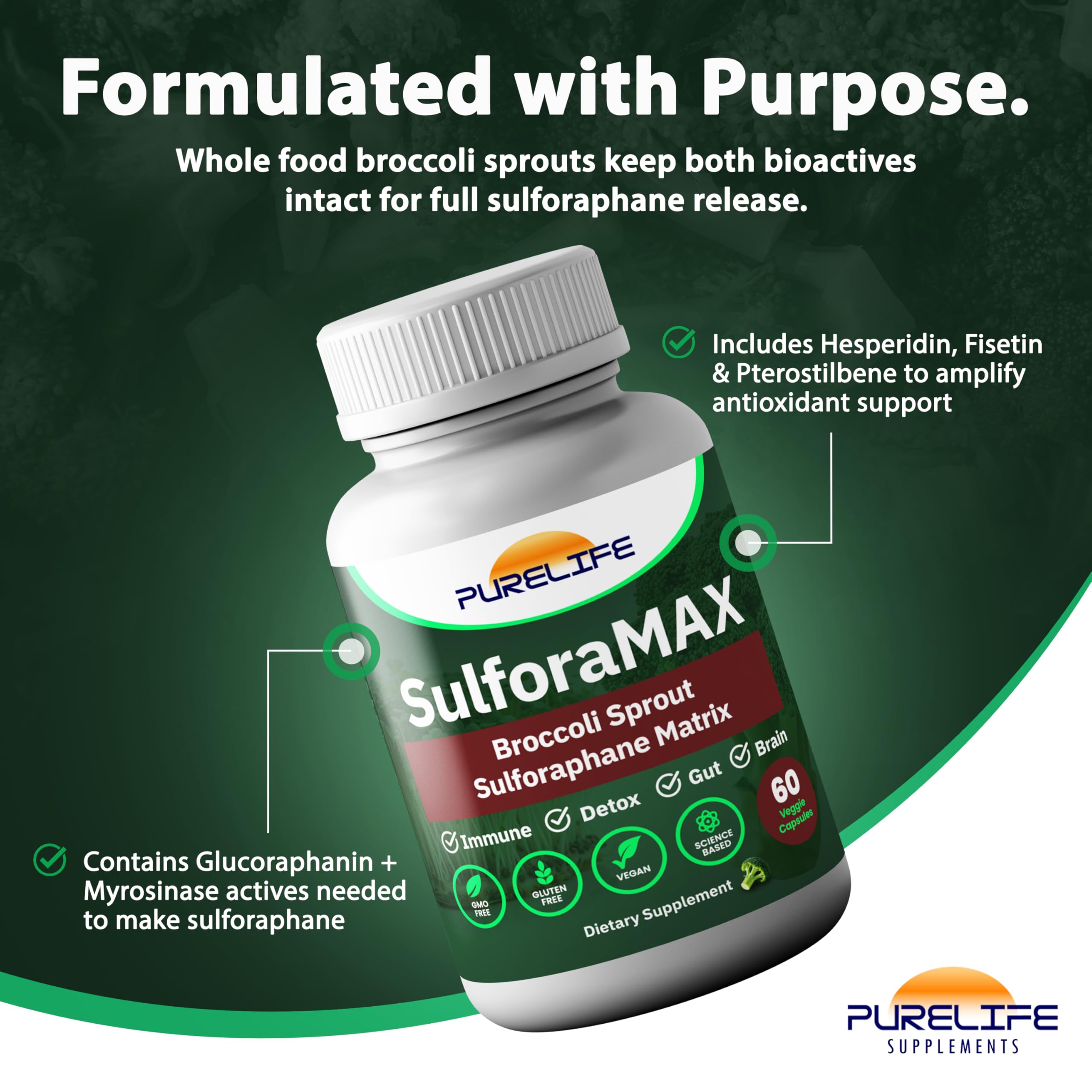 support brain function with SulforaMAX