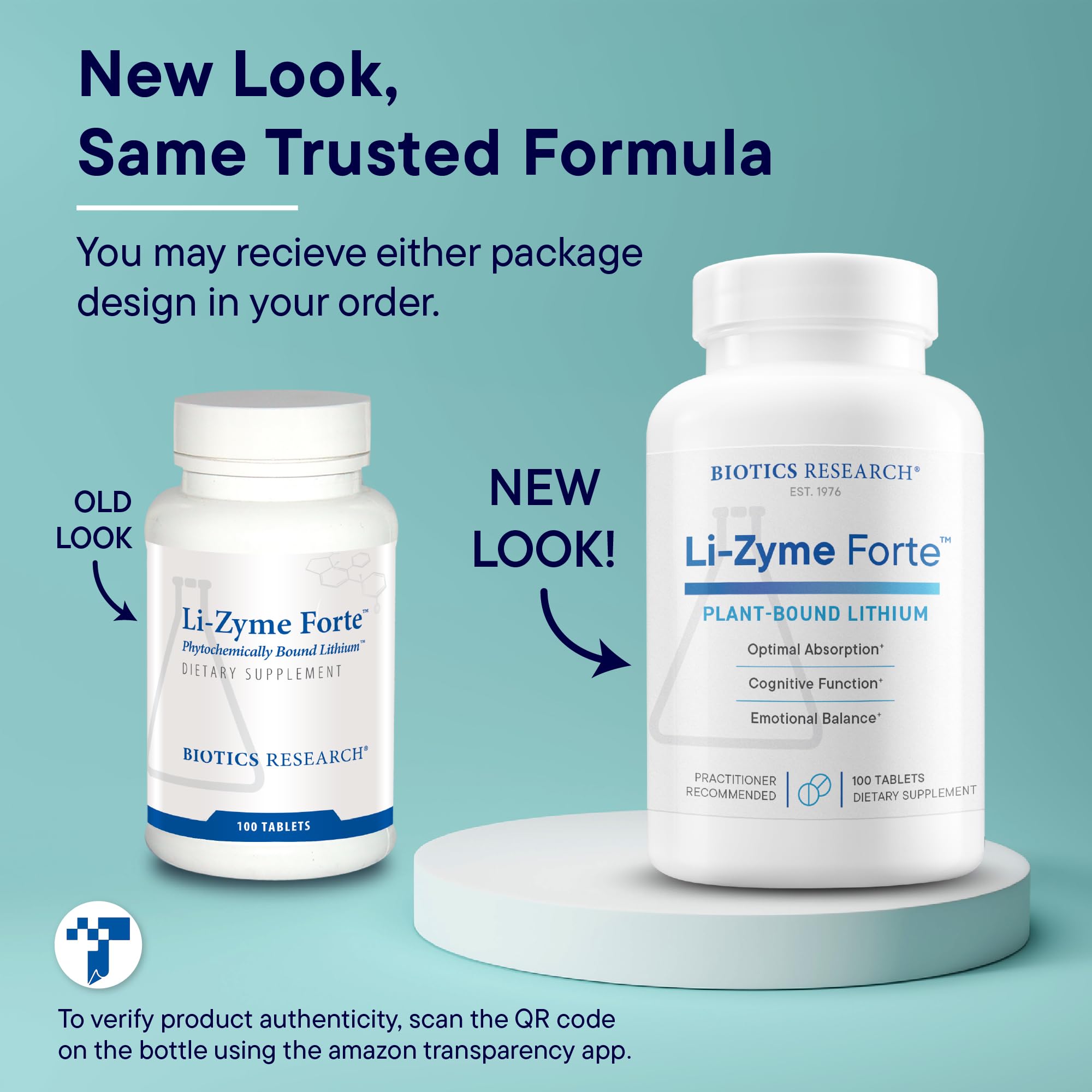 support brain function with vitamins