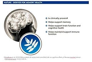 support brain function with vitamins