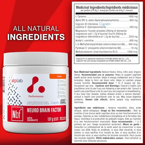 support brain function with vitamins
