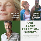 Support brain health with antioxidants