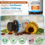 Support brain health with lecithin