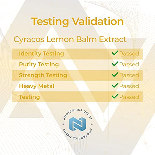 support brain health with Nootropics