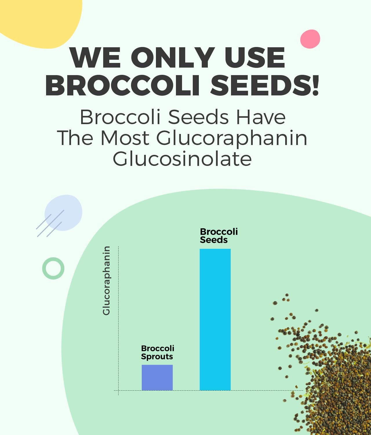 support brain health with sulforaphane