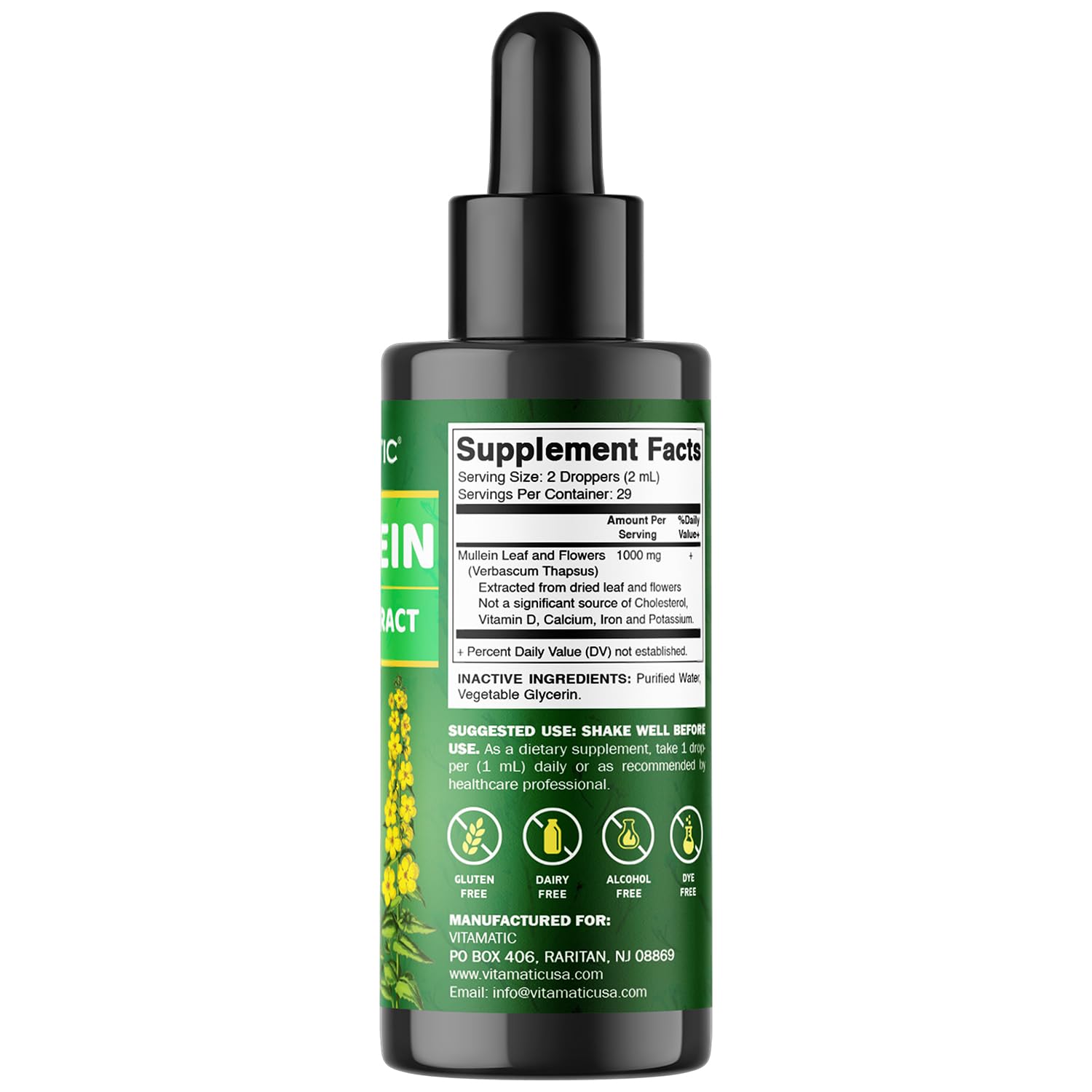 support bronchial health with Mullein