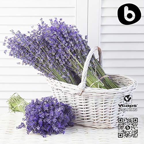 support calm body with lavender