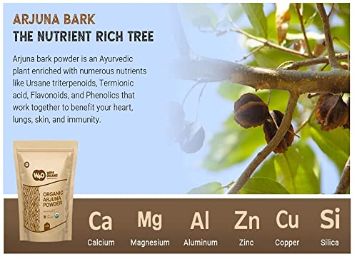 support cardiovascular health naturally