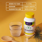 support cardiovascular health with Pycnogenol