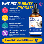 Support cat immune system naturally
