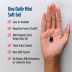 support cellular energy coq10