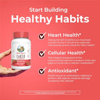 support cellular energy coq10