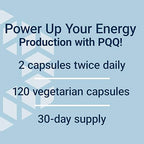 support cellular energy production