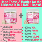 support cellular energy production