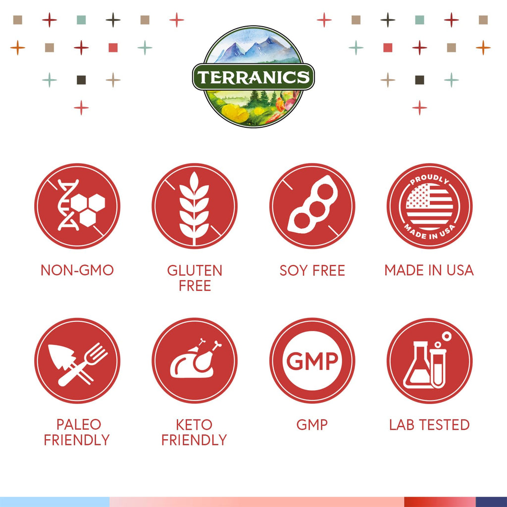 support cellular energy with CoQ10