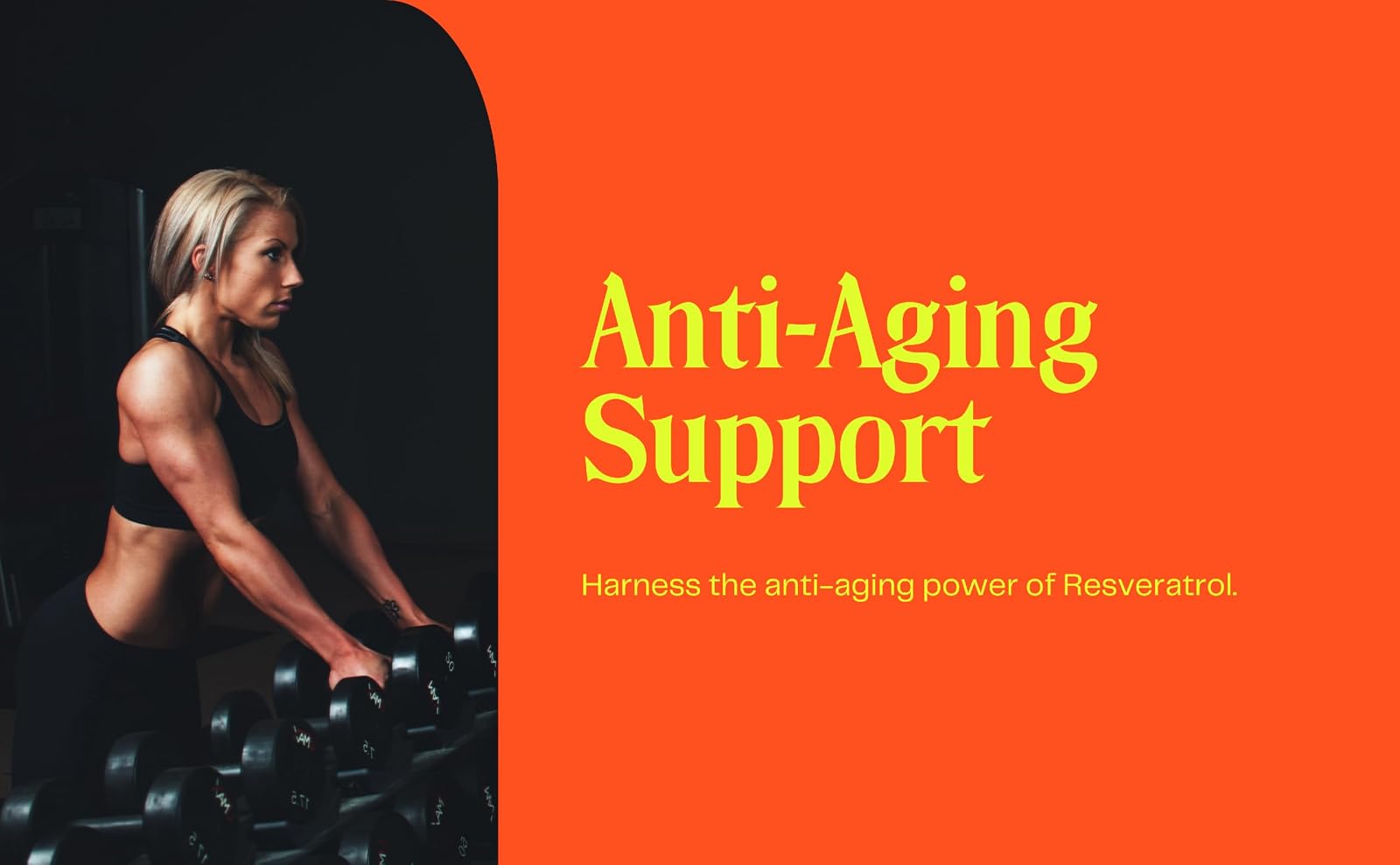 Support cellular function with vitamins