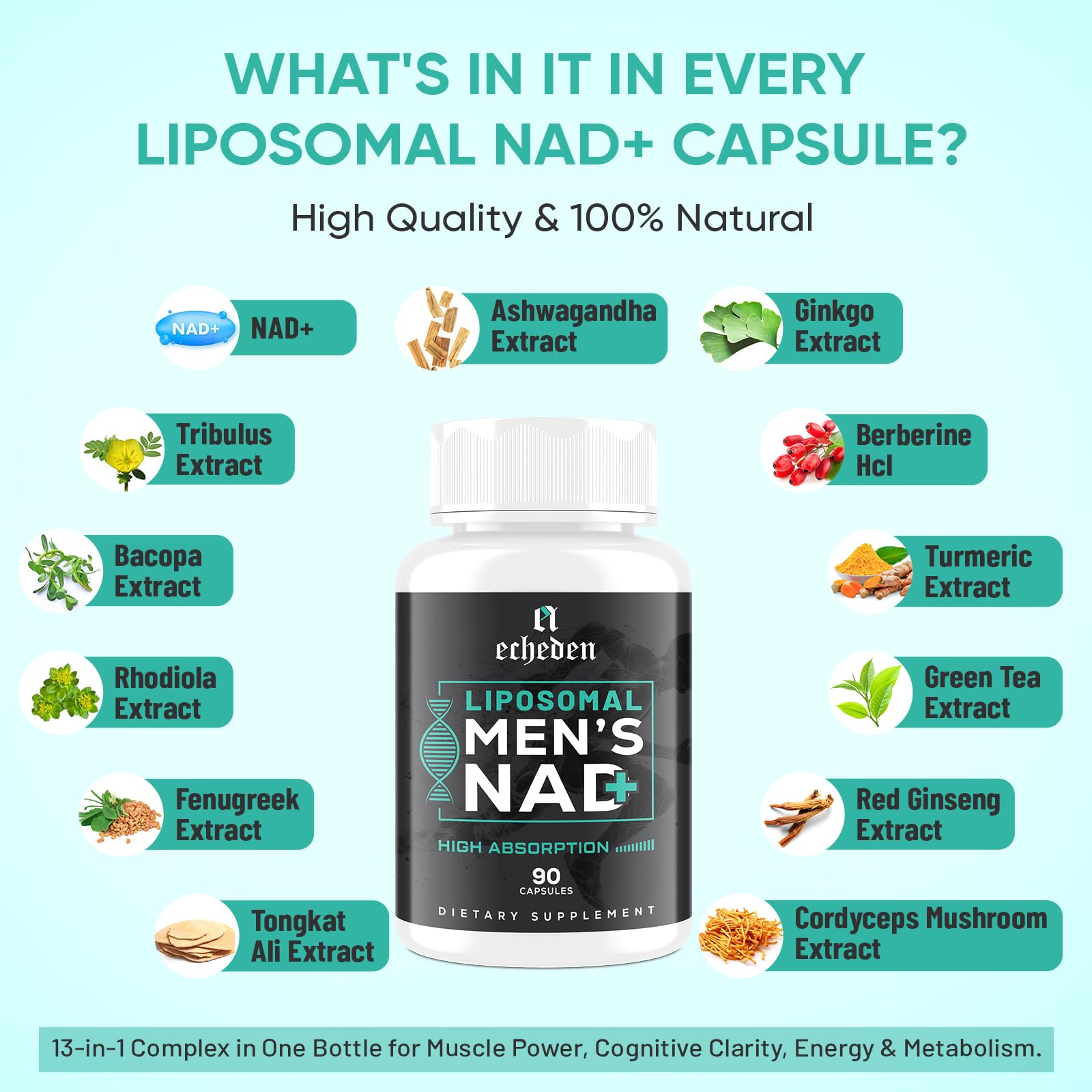 support cellular health with NAD+