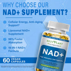 support cellular health with NAD+