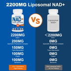 support cellular health with nad+
