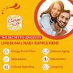 support cellular health with nad+