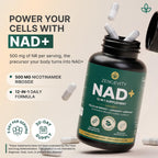 support cellular health with NAD+