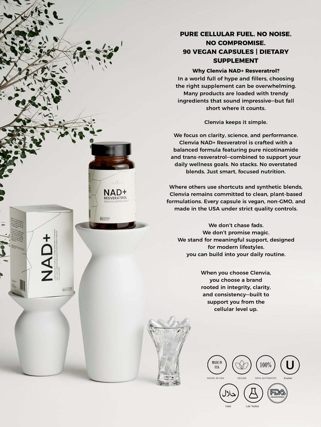 support cellular health with NAD+