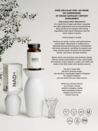 support cellular health with NAD+