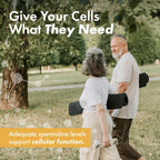 support cellular health with spermidine