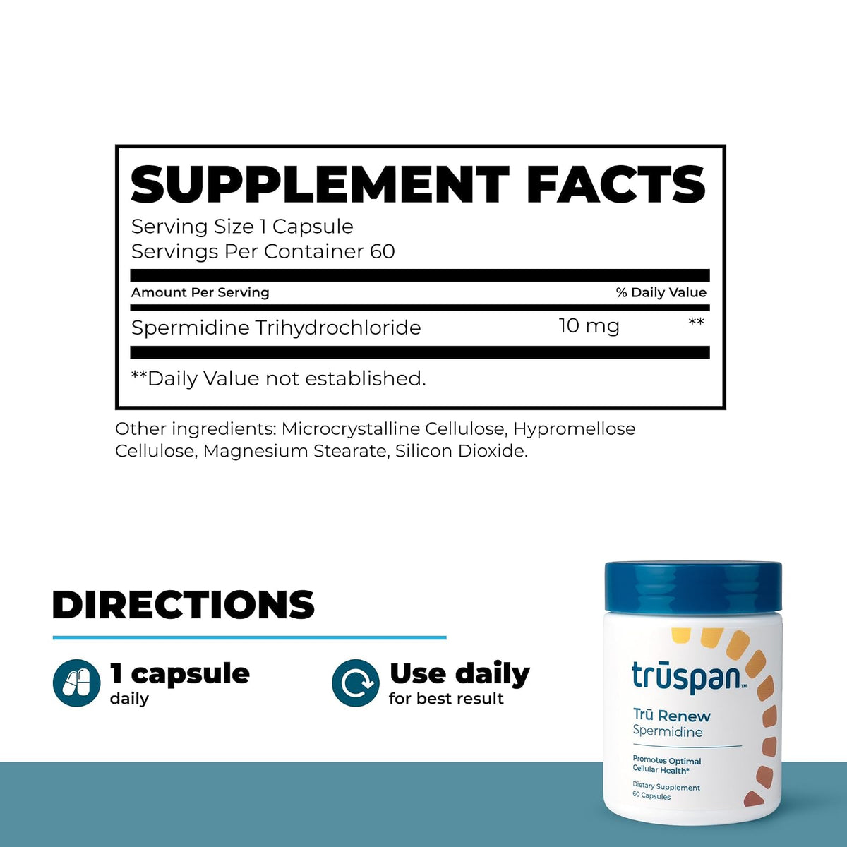 support cellular health with spermidine
