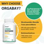 Support cellular health with Vitamin B3