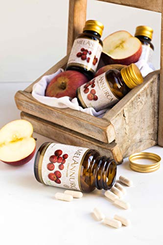 support cholesterol levels naturally