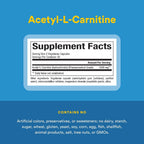 support cognitive function acetyl l-carnitine