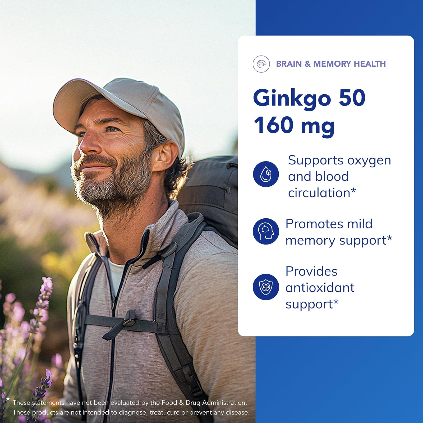 support cognitive function ginkgo biloba
