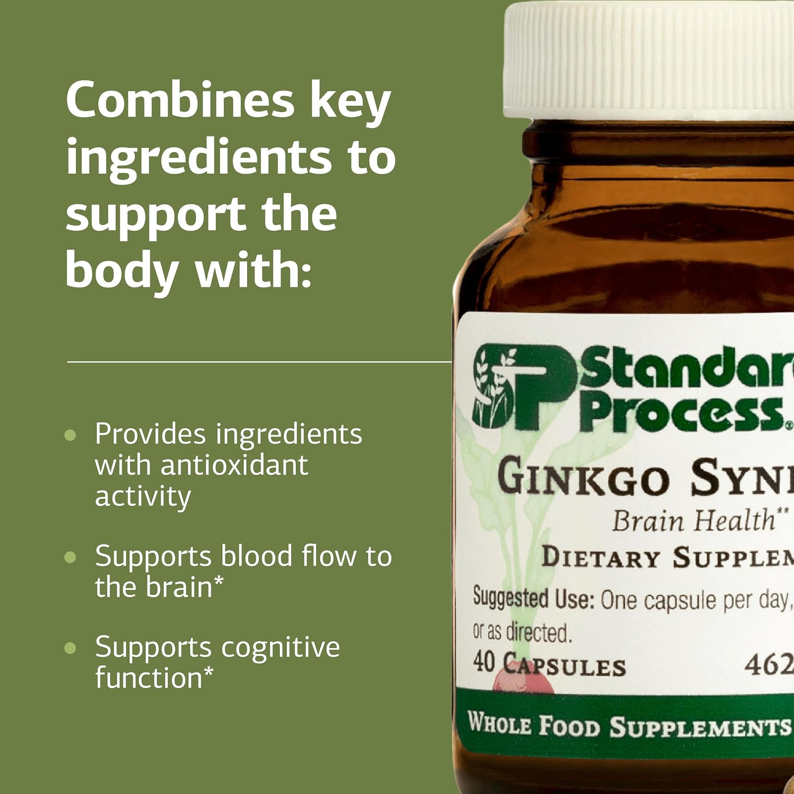 support cognitive function ginkgo
