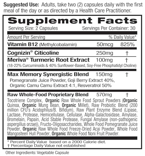 support cognitive function multivitamins