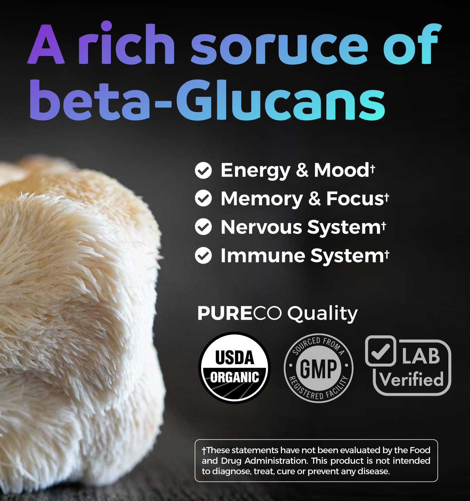 support cognitive function with lion's mane