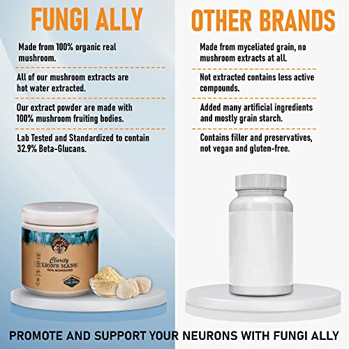 support cognitive function with mushrooms